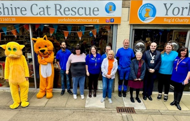 Yorkshire Cat Rescue gets shop boost thanks to Bevan Brittan’s pro bono ...